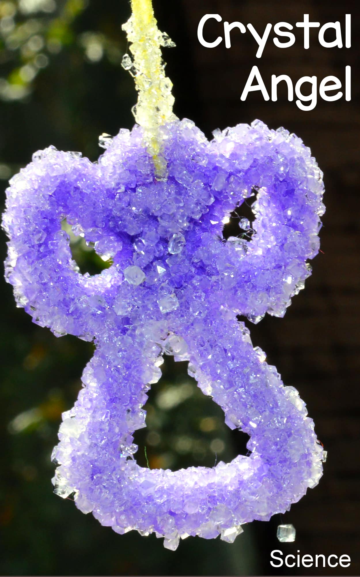 Grow A Crystal Angel Ornament - Science Experiment