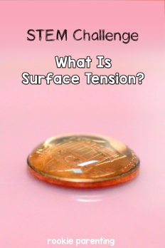 How Many Drops Of Water Can Fit On A Penny Surface Tension Experiment